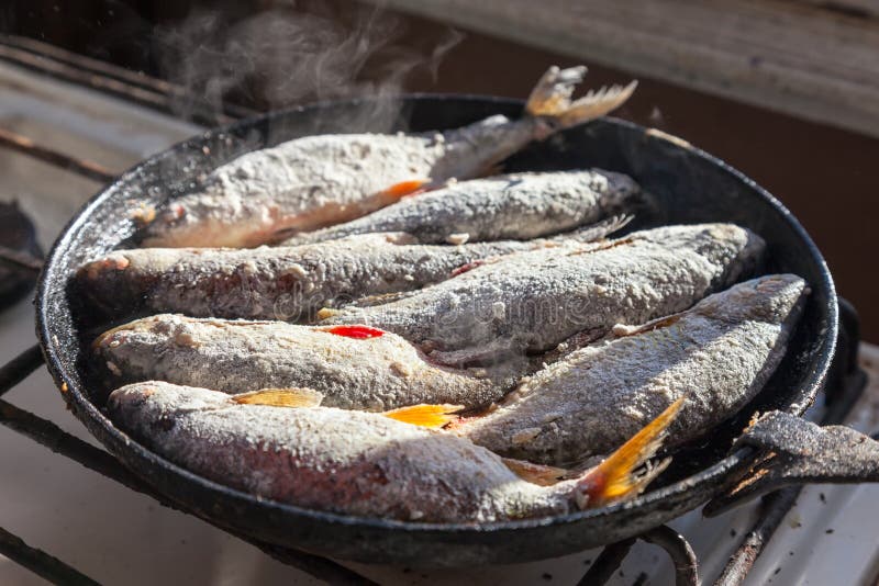 Fried Fish in the Frying Pan Stock Image - Image of grilled, cook: 33953439