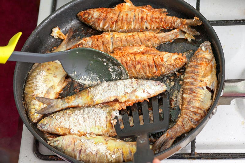 Fried fish on frying pan stock image. Image of green - 69957427