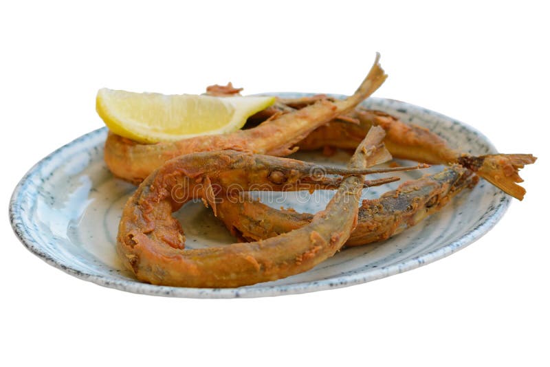 The Garfish (Belone Belone), or Sea Needle, is a Pelagic, Oceanodromous ...