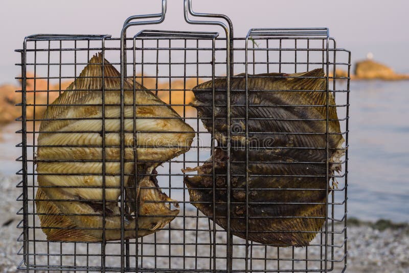 Fried Fish Grill on the Seashore Stock Photo - Image of picnic, tasty ...