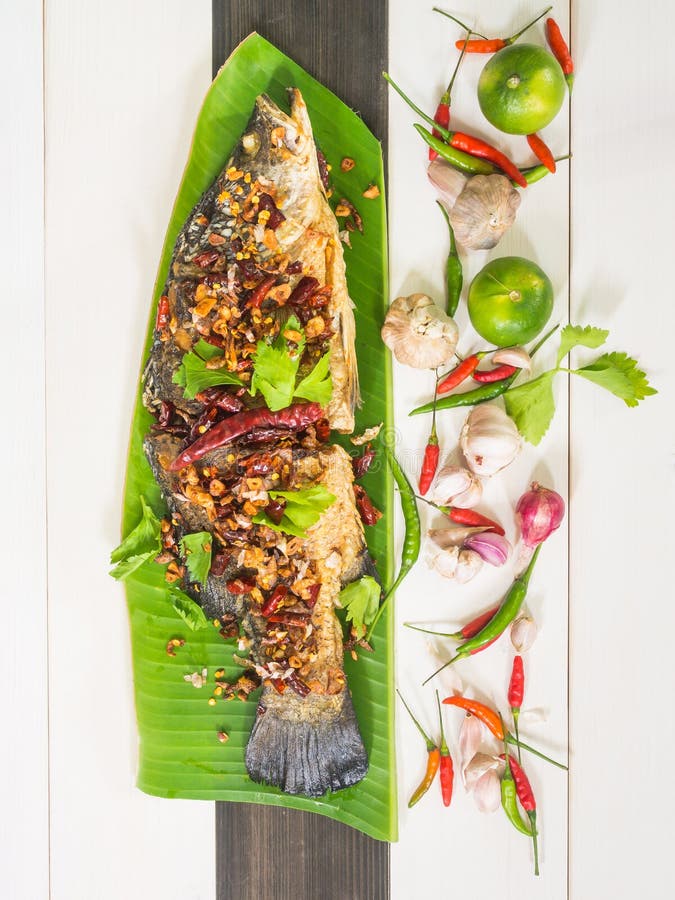Fried fish with herbs stock photo. Image of traditional - 83549138