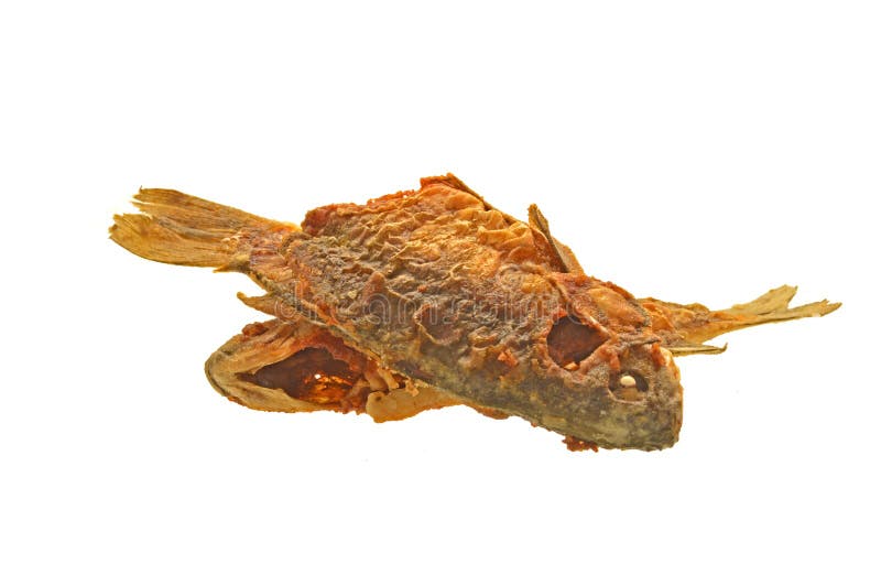 Fried Fish Isolated on White Background Stock Photo - Image of healthy ...