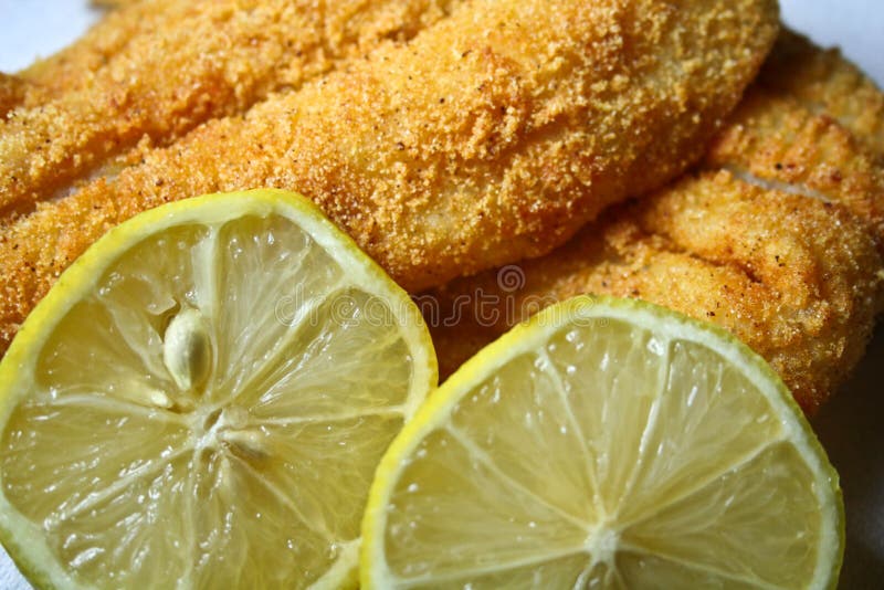 Fried Fish and Lemon stock photo. Image of talapia, seafood - 22711976