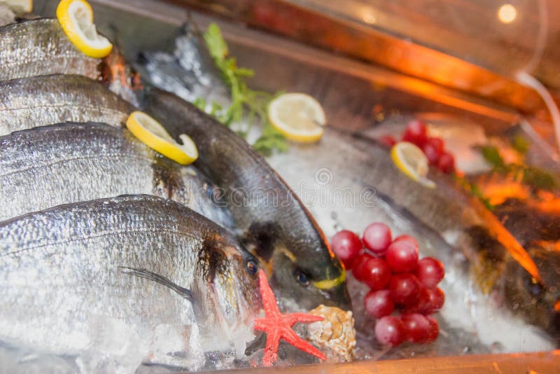 Fried Starfish and Fried Seahorse - China Traditional Food at ...