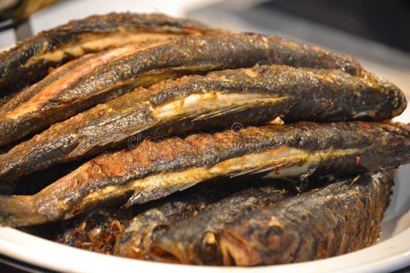 Fried Fish Lined Up with Heads, Trout Fish Stock Image - Image of tasty ...