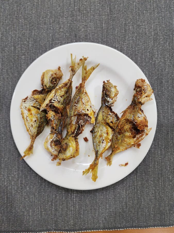 Fried fish lining stock image. Image of food, seafood - 326568313