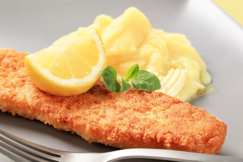 Fried Fish with Mashed Potato Stock Image - Image of gray, fish: 35266741