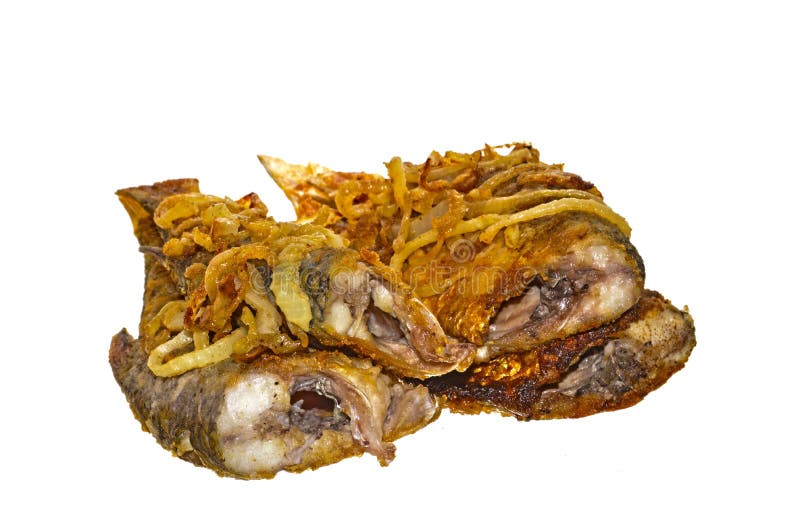 Fried Fish Meat Isolated on White Background Stock Photo - Image of ...