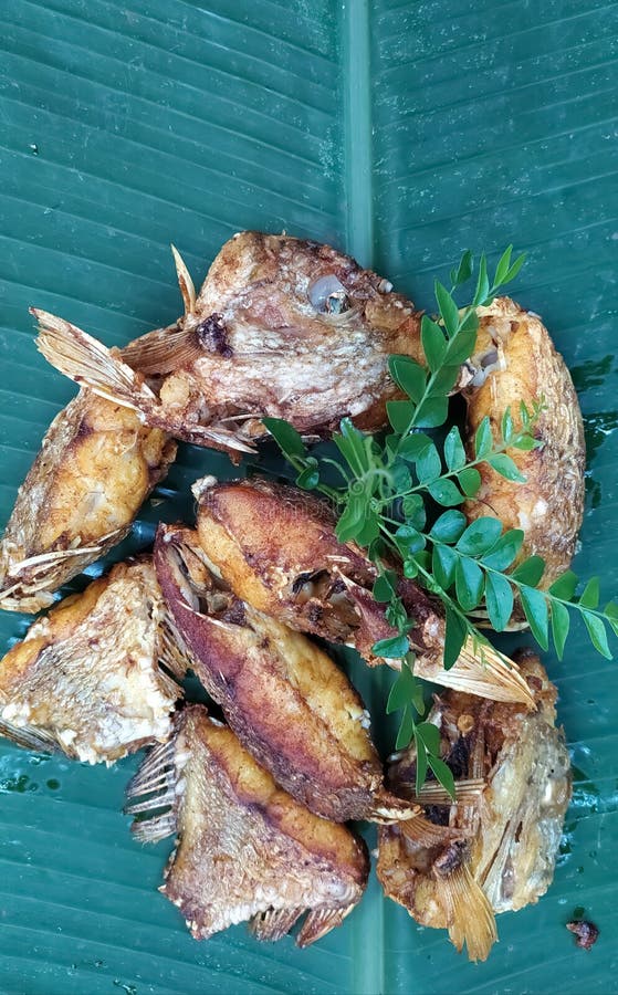 Fried fish pieces stock image. Image of fish, restaurant - 175243683