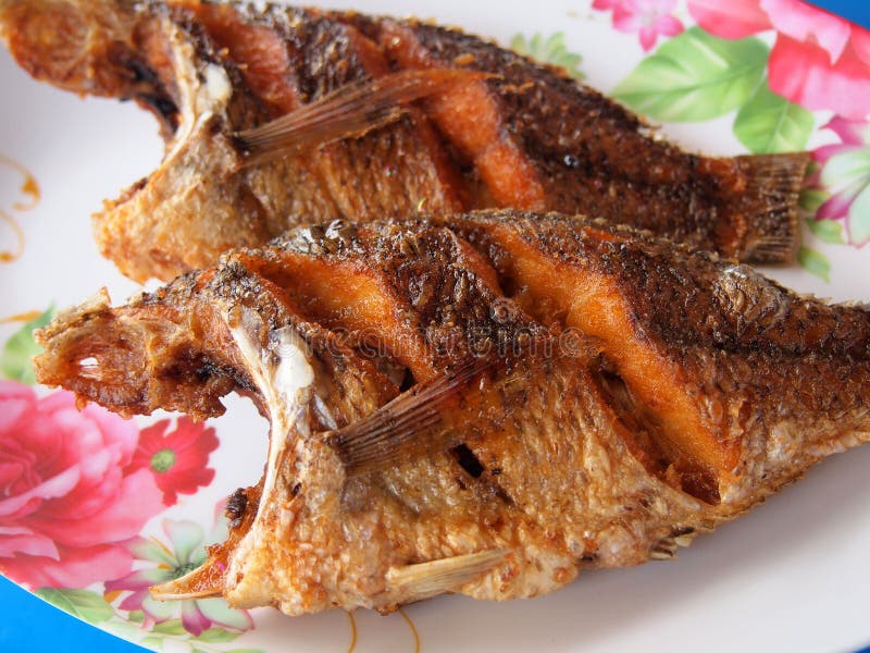 Fried fish on plate stock image. Image of fresh, cook - 166437399