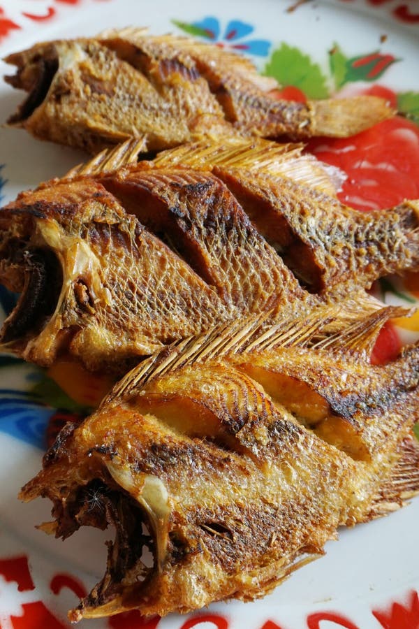 Fried fish on plate stock photo. Image of tasty, sweet - 125062766