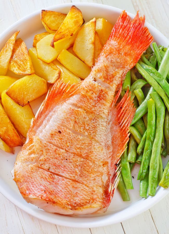 Fried fish stock image. Image of pectoral, green, perch - 38928499