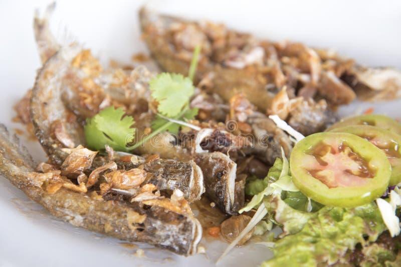 Fried Fish Profundo Com Alho Imagem de Stock - Imagem de foto, peixes ...