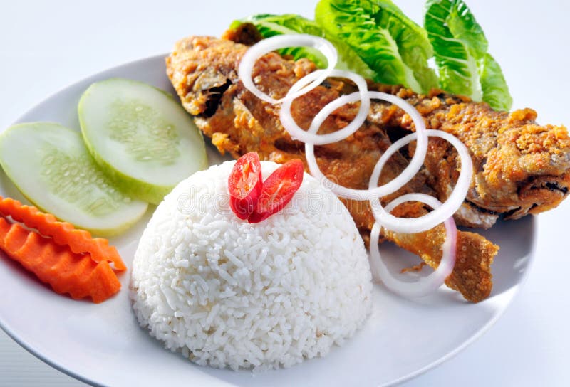 Fried fish with rice stock photo. Image of edible, crispy - 24370958