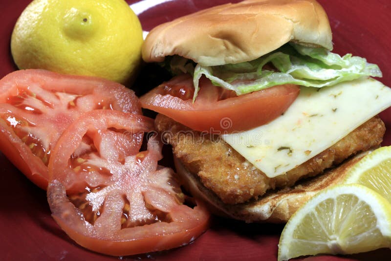 Fried Fish Sandwich on a Bun Stock Photo - Image of fried, supper: 23679196