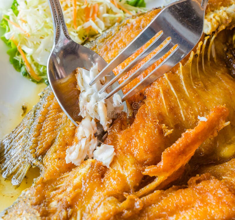 Fried fish stock image. Image of natural, fried, golden - 32560137