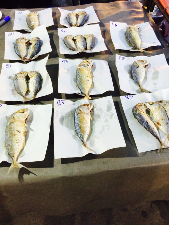 Fried fish stock photo. Image of cook, dish, delicious - 64105614