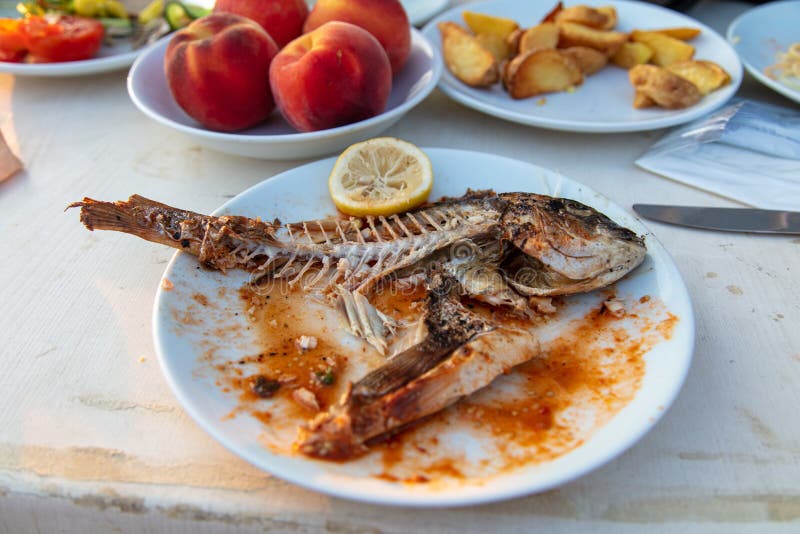 Fried Fish Skeleton in a Plate Stock Photo - Image of closeup, seafood ...