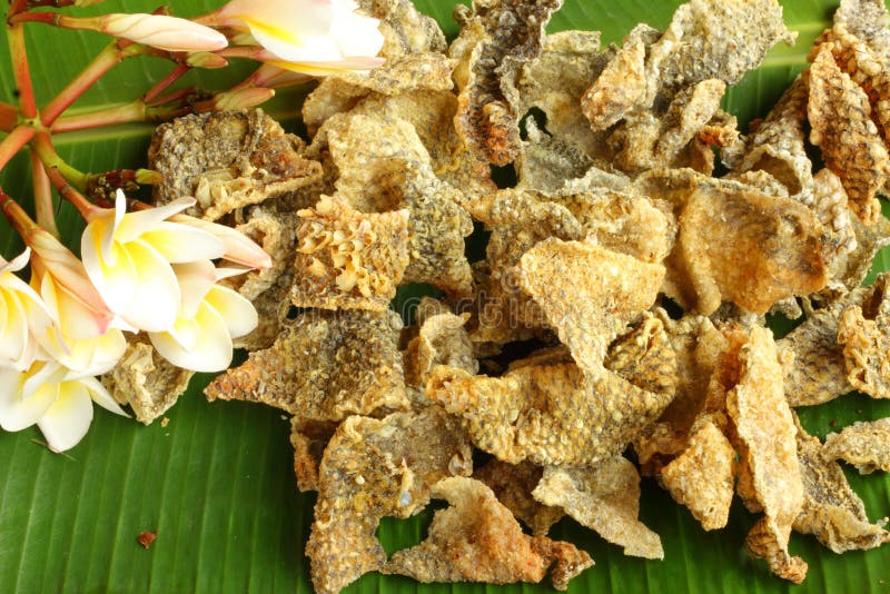 Fried fish skin stock image. Image of flowers, isolation - 29714141
