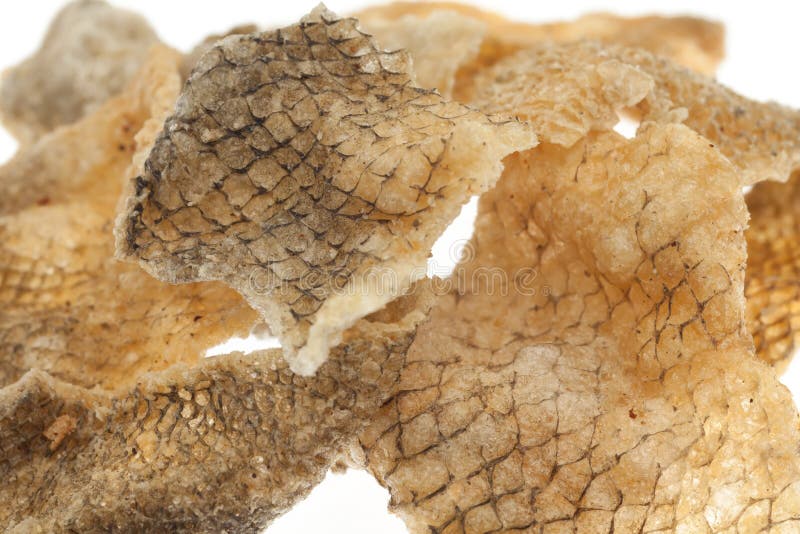 Fish Spa Skin Therapy stock photo. Image of salon, care - 20245368