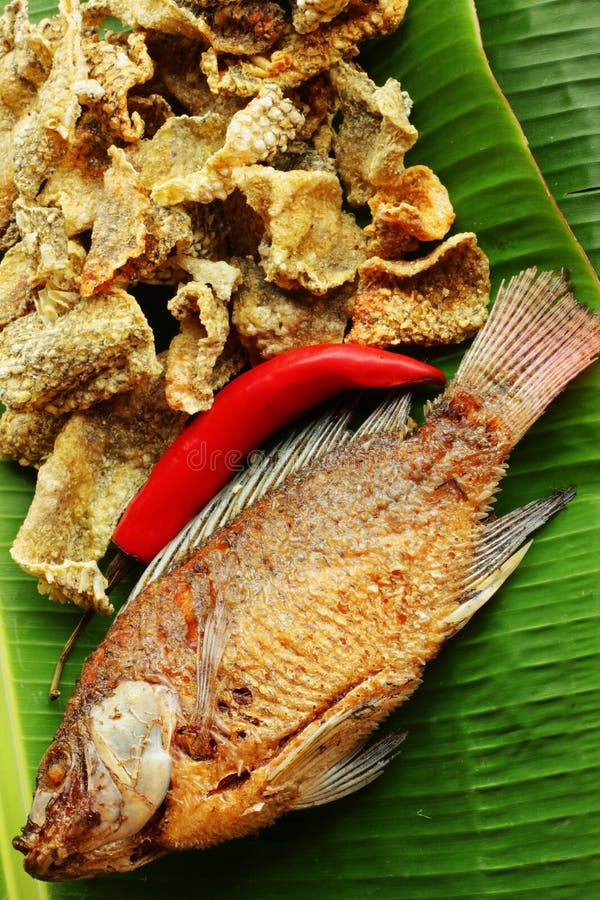 Fried fish skin stock image. Image of delicious, scales - 31877545