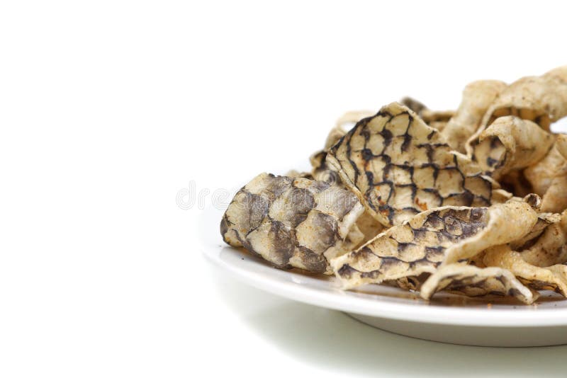 Fish Spa Skin Therapy stock photo. Image of salon, care - 20245368