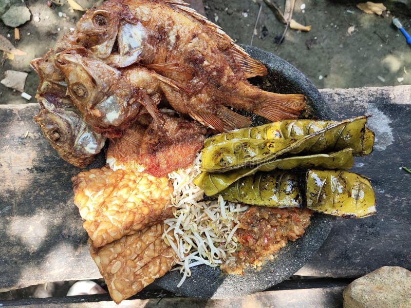 Fried Fish and Fried Tempeh Stock Image - Image of tempeh, seafood ...