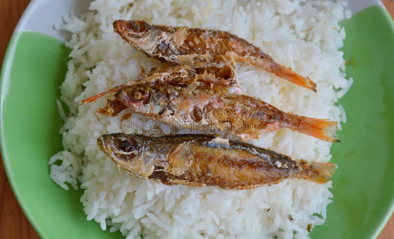 Fried Fish Topping on Plain Rice Stock Image - Image of grain, fast ...