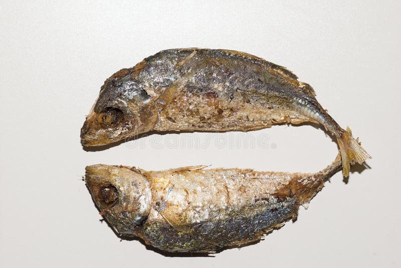 Fried Fish with White Backdrop Stock Image - Image of eating, cooked ...