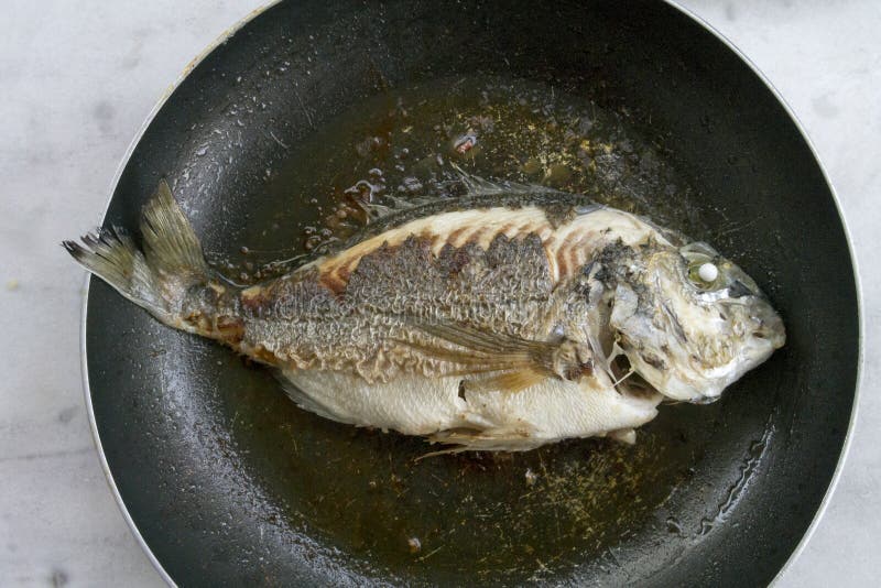 Fried fish stock image. Image of gilthead, mediterranean - 32172793