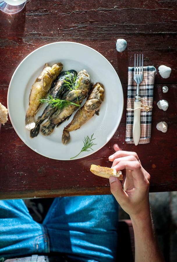 Fried fish stock image. Image of cafe, restaurant, seashells - 64536223