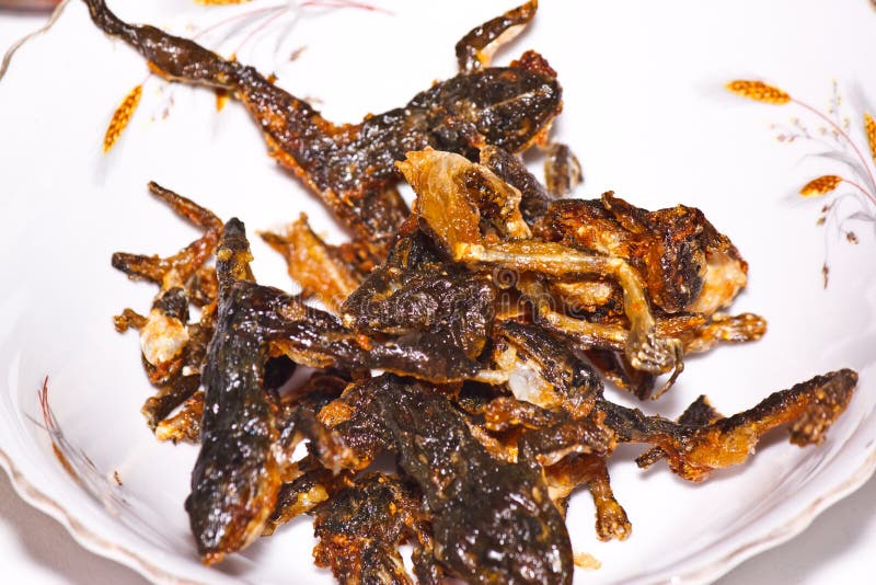 Fried frog stock photo. Image of grenouille, foods, dairy - 36168264