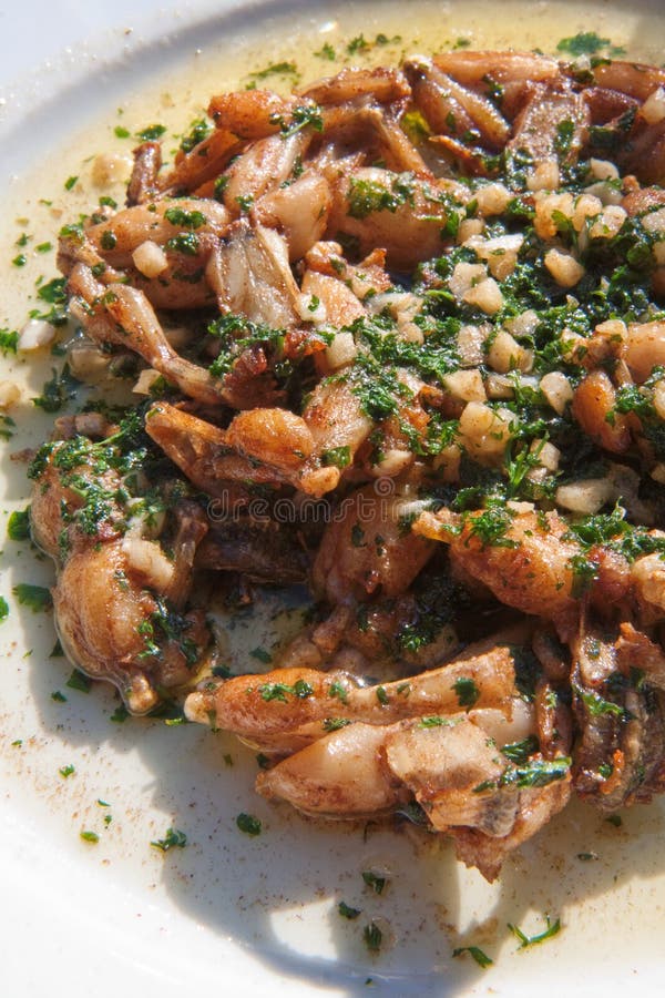 Fried frog legs. stock photo. Image of meat, fried, butter - 7719254