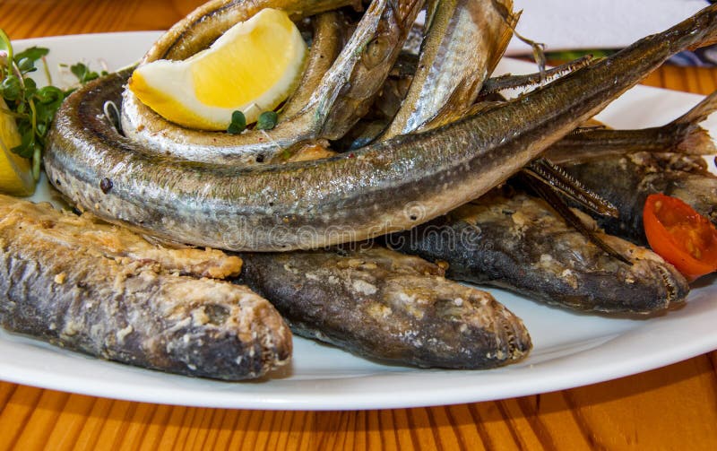 Fish Sargan Stock Photos - Free & Royalty-Free Stock Photos from Dreamstime