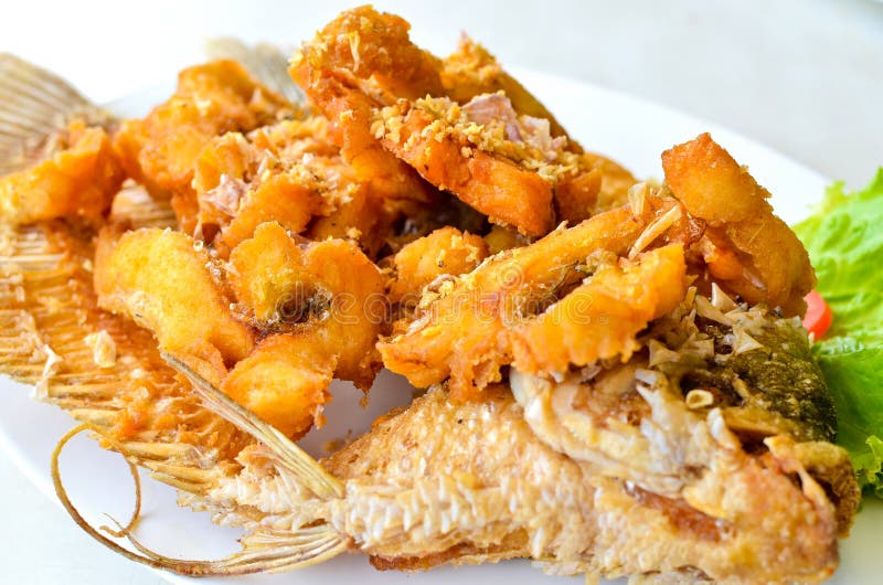 Fried Giant Gourami Fish stock image. Image of nutrition - 29916301