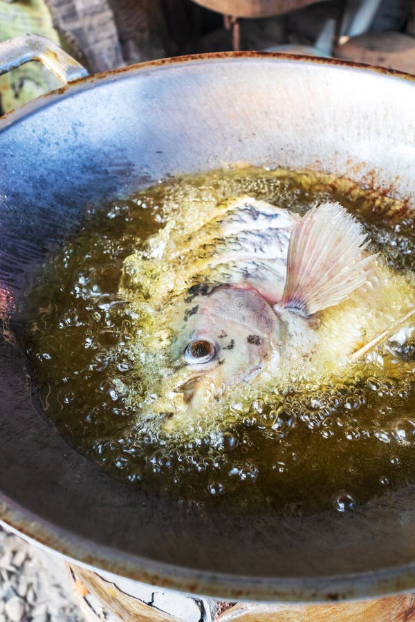 Fried GIANT GOURAMI Fish in a Pan on Stove Stock Image - Image of fresh ...