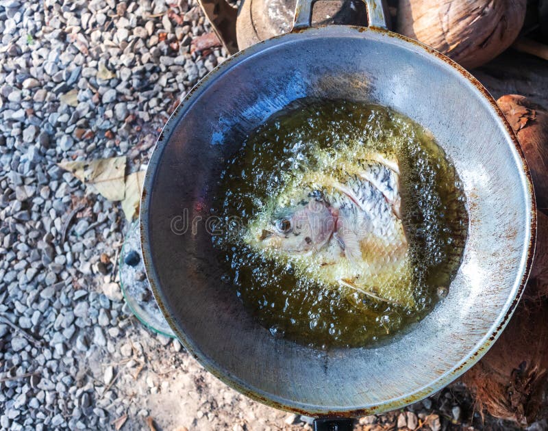 Fried GIANT GOURAMI Fish in a Pan on Stove Stock Image - Image of ...