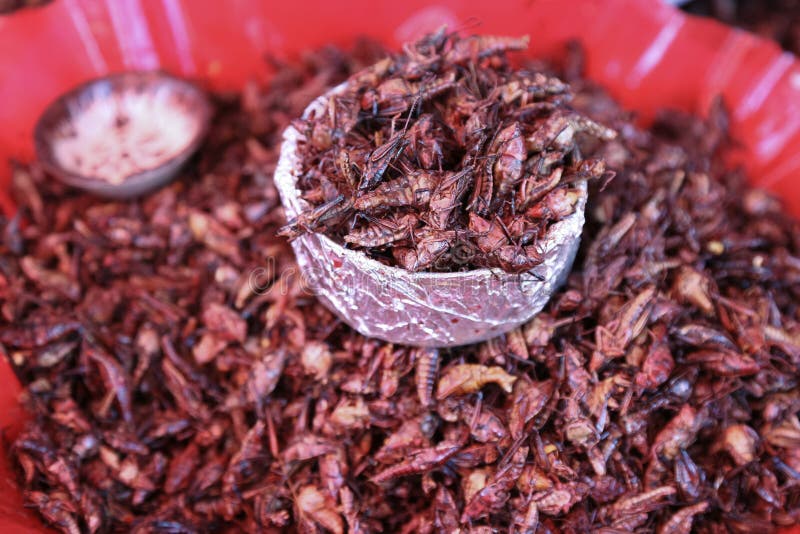 Saltamontes O Chapulines. Comida Mexicana Tradicional De Oaxaca México ...