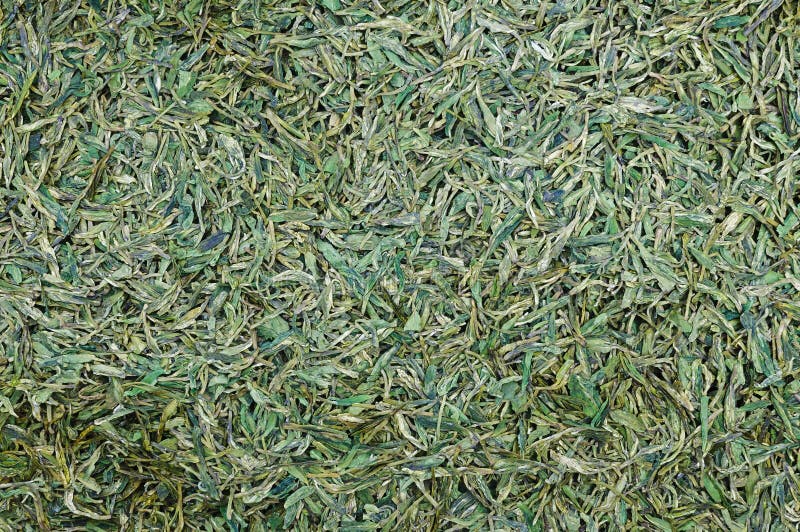 Fried green tea stock photo. Image of diverse, harvest - 30827170