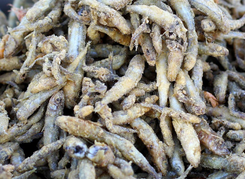 Fried grill small fish stock photo. Image of crispy, industry - 79151640