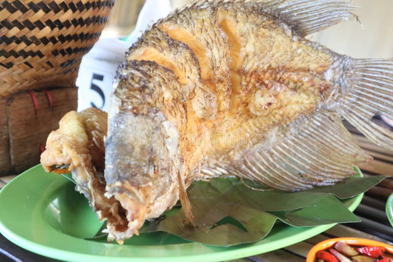 Fried gurame on the plate stock image. Image of fish - 194696441