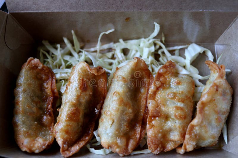 Fried Gyoza on Shreded Cabbage. Stock Photo - Image of cooking, cabbage ...