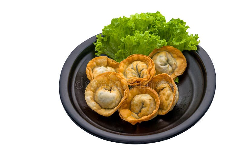 Fried Handmade Dumpling Served in a Dish Isolated on White Background ...