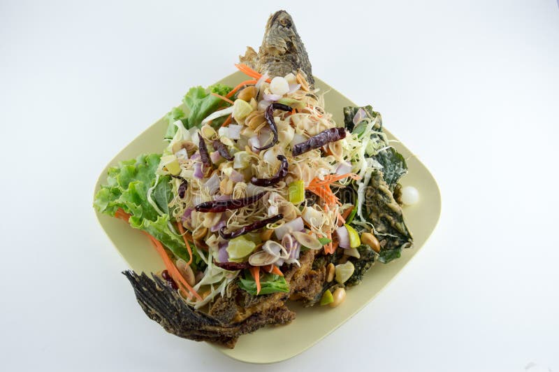 Fried herb fish stock image. Image of restaurant, head - 42360115