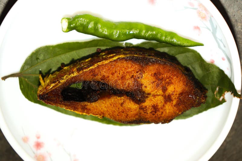 Fried Hilsa Fish on Kitchen Stock Photo - Image of dinner, fried: 250725094