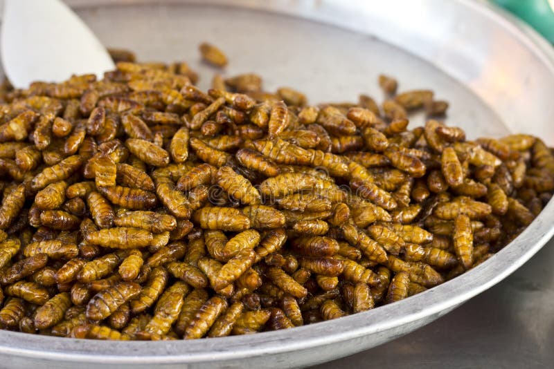 Fried insects stock image. Image of meal, yellow, fried - 28756567