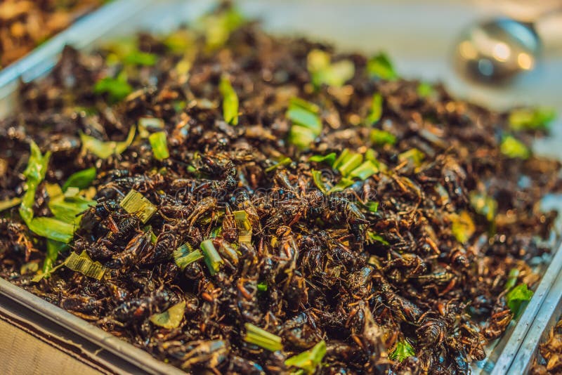 Fried Insects, Bugs Fried on Street Food in Thailand Stock Image ...