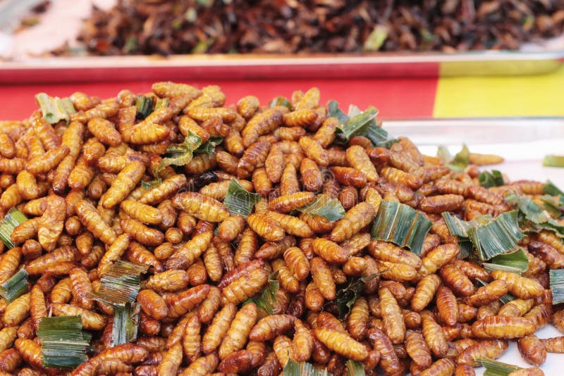 Fried Insects is Delicious in the Market. Stock Photo - Image of health ...