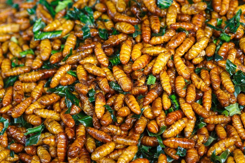 Fried Insects,fried ,insects. Stock Image - Image of dried, lunch: 92168945