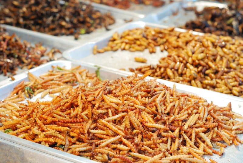 Roasted Fried Insects and Bugs As Snack Street Food in China Stock ...